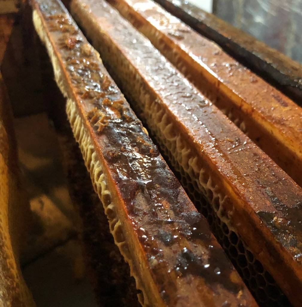 La propolis - Saveurs de miel